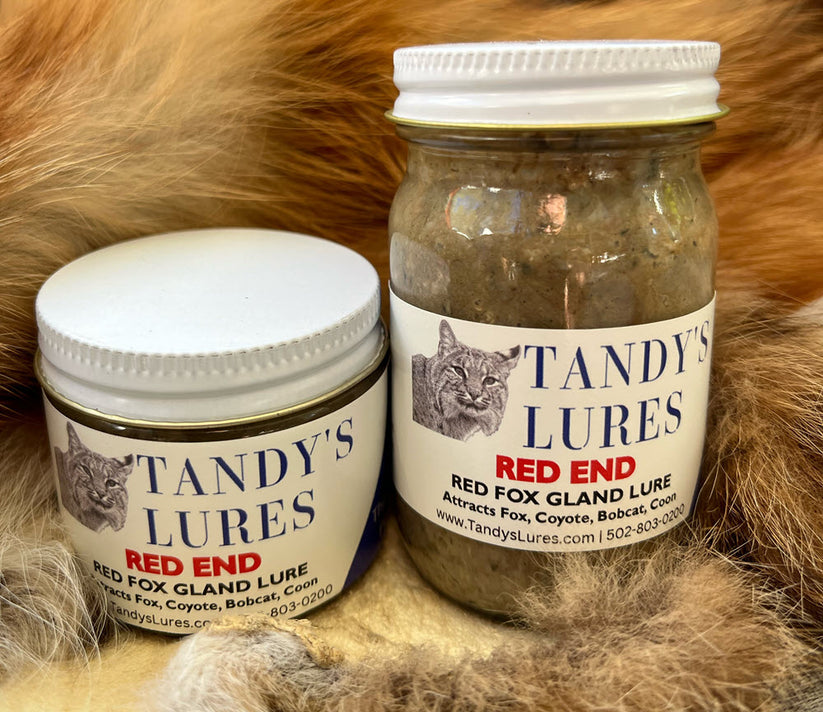 RED END - Attracts Fox, Bobcats, Coyotes, Coon – Tandy's Lures